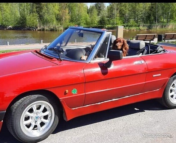 Alfa Romeo 115 Spider Quadrifoglio verde Avoauto 1989 - Vaihtoauto - Nettiauto